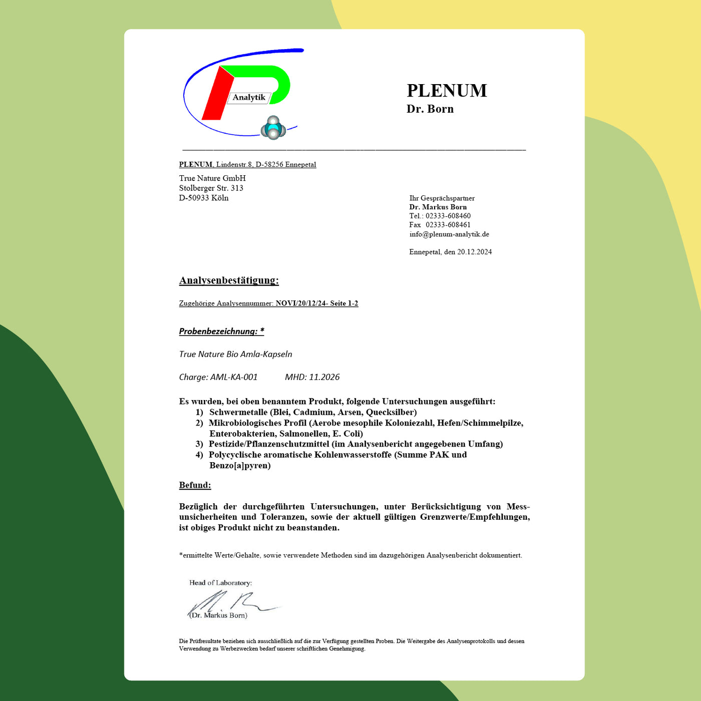 Bio Amla Kapseln: Reine Pflanzenkraft für jeden Tag! 🍋